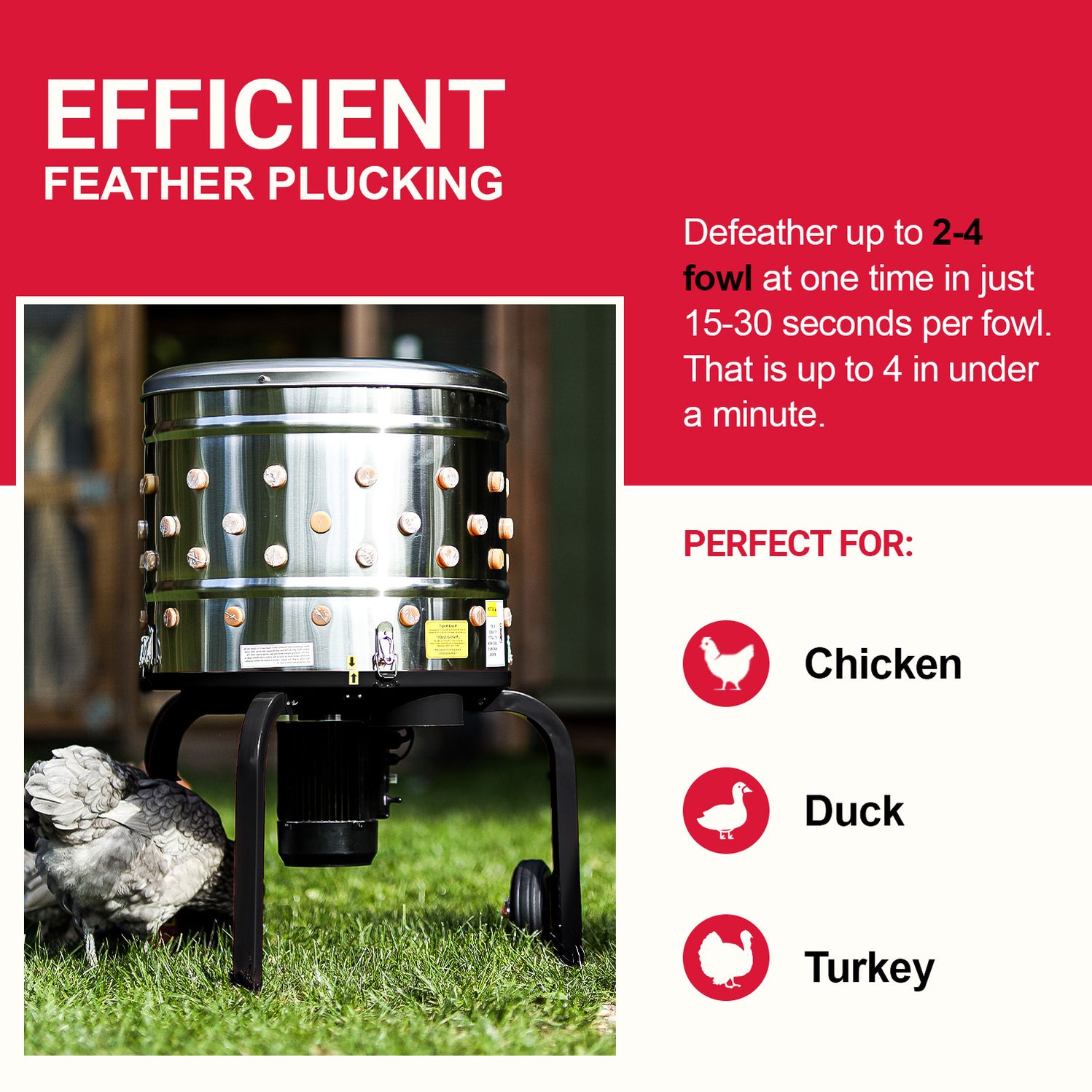 Kitchener Electric Chicken Plucker - Stainless Steel Poultry Processor ...